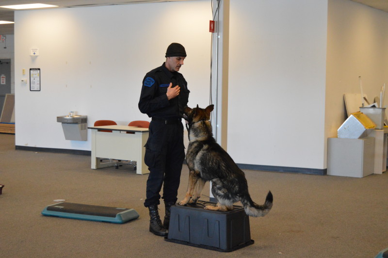 MSP | Blue Line Police K-9